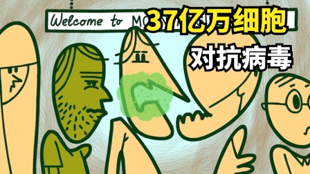 外来入侵者挑衅人类,37亿万细胞对抗病毒,一部细胞科普动画