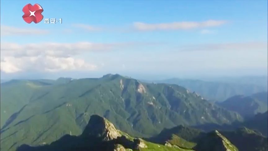 加快建设数字秦岭监管平台,执法局局长做客栏目,给出具体方案