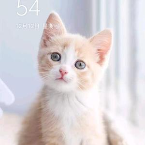 星心2k8d 