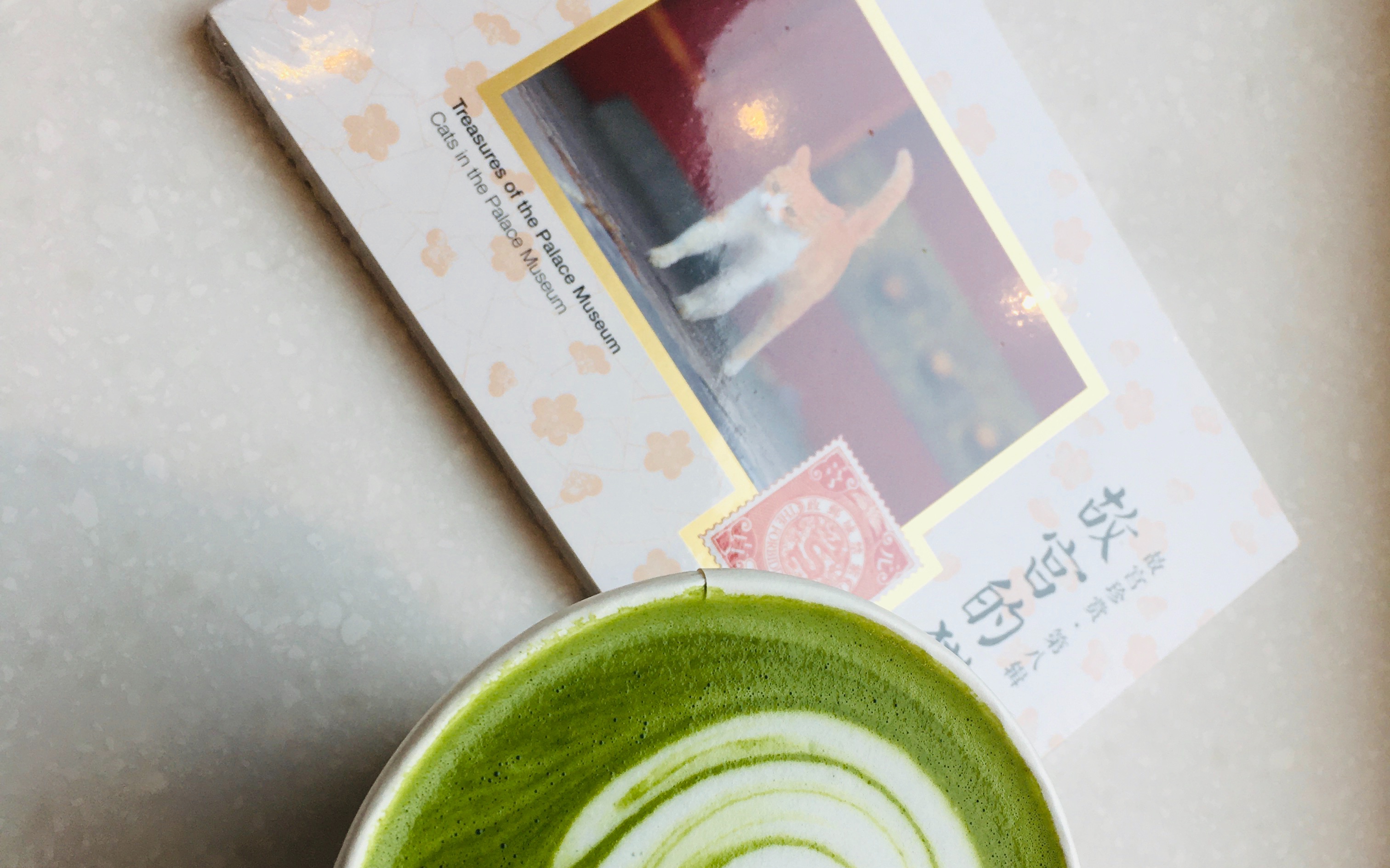 《从南到北:) 》好想出去晒太阳#闷在家里自娱自乐#