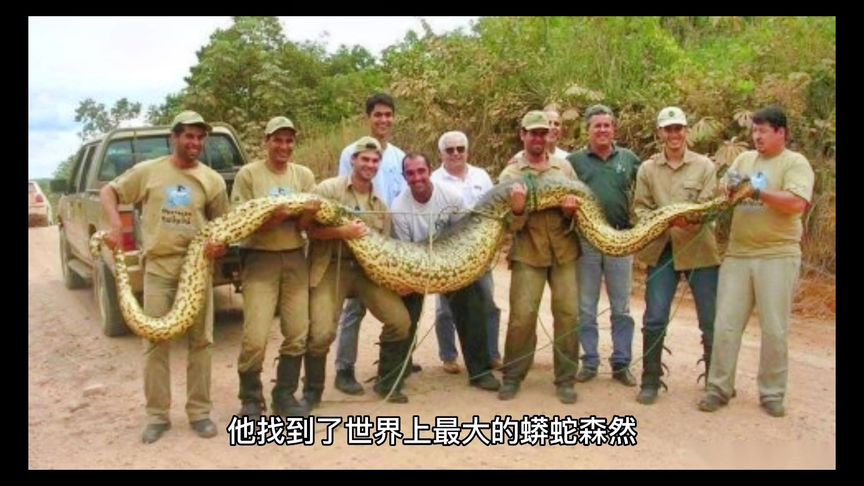 #民间故事 #真实事件 假如你被蟒蛇吞进肚子,你能自救吗?