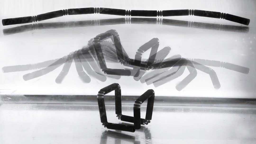 革命性技术,MIT研发4D打印技术,比3D打印更牛