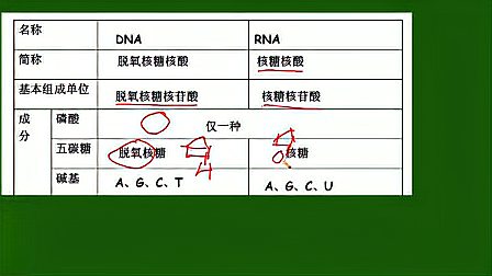 高中生物必修一第二章知识点复习2