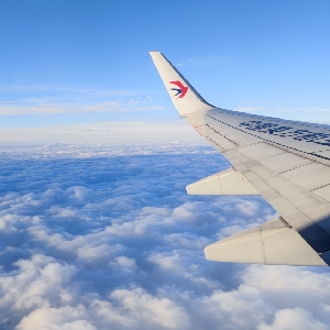 喵喵汪汪咕噜咕噜 