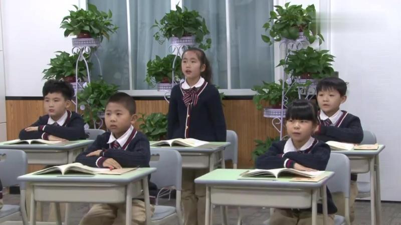 课时034 二年级语文下册全册名师教学视频《画杨桃》(第一课时)