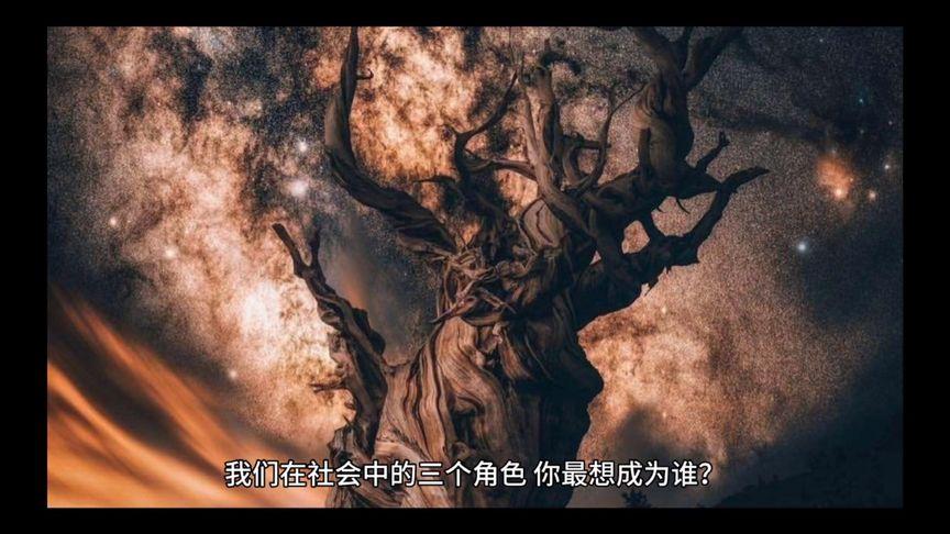 我们在社会中的三个角色,你最想成为谁?