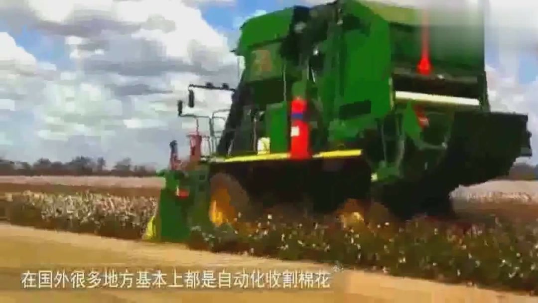 从树上的棉花到制成衣服,国外的机械太先进,简直让人眼花缭乱!