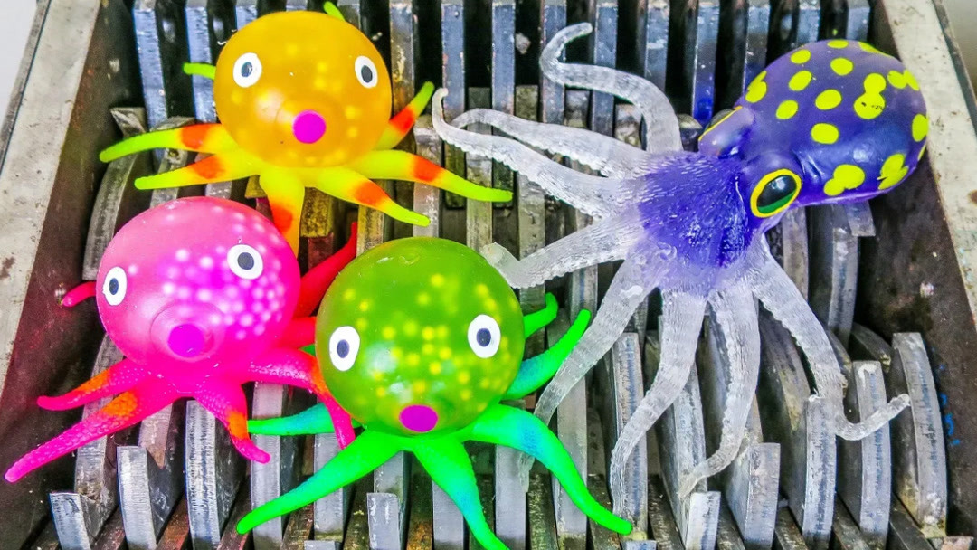 你看小鲤鱼笑得多开心,碾碎机无情地滚动,和鲤鱼说拜拜吧