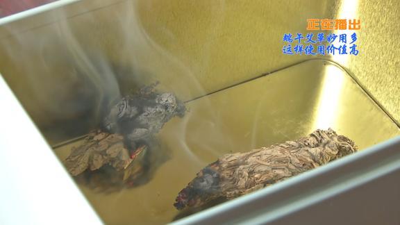 端午将至,又到艾草飘香时 那艾草的价值你知道吗?