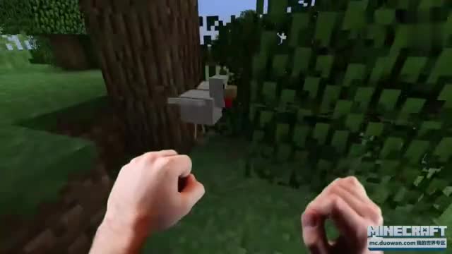 《我的世界》现实版视频EP1:攻击小鸡