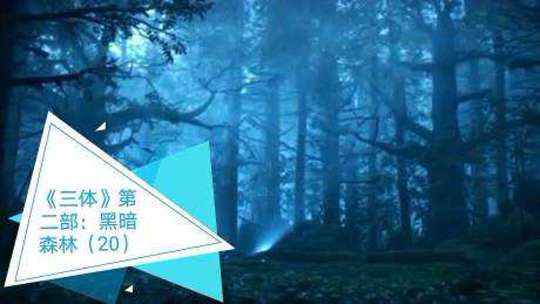 《三体》第二部:黑暗森林(20)