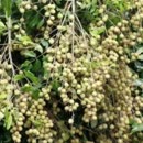 余生我陪你走123 