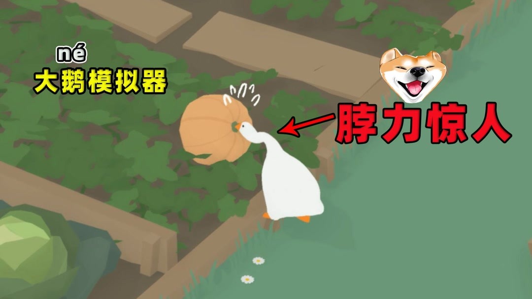 阿管大鹅模拟器:这只鹅有点东西!