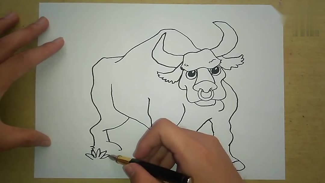 第二课:十二生肖牛如何画3(简笔画入门教学)