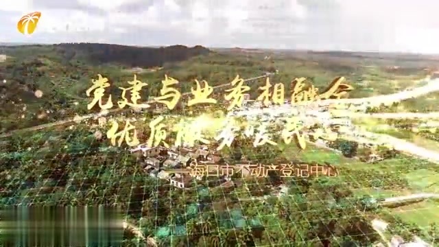 海口市不动产登记中心:党建与业务相融合,优质服务暖.