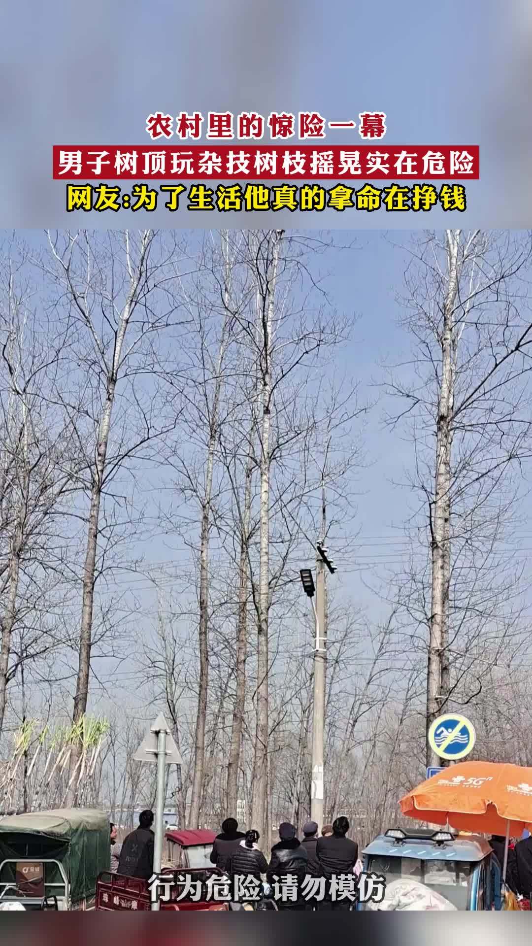 男子树顶玩杂技树枝摇晃实在危险,为了生活他真的拿命在挣钱。