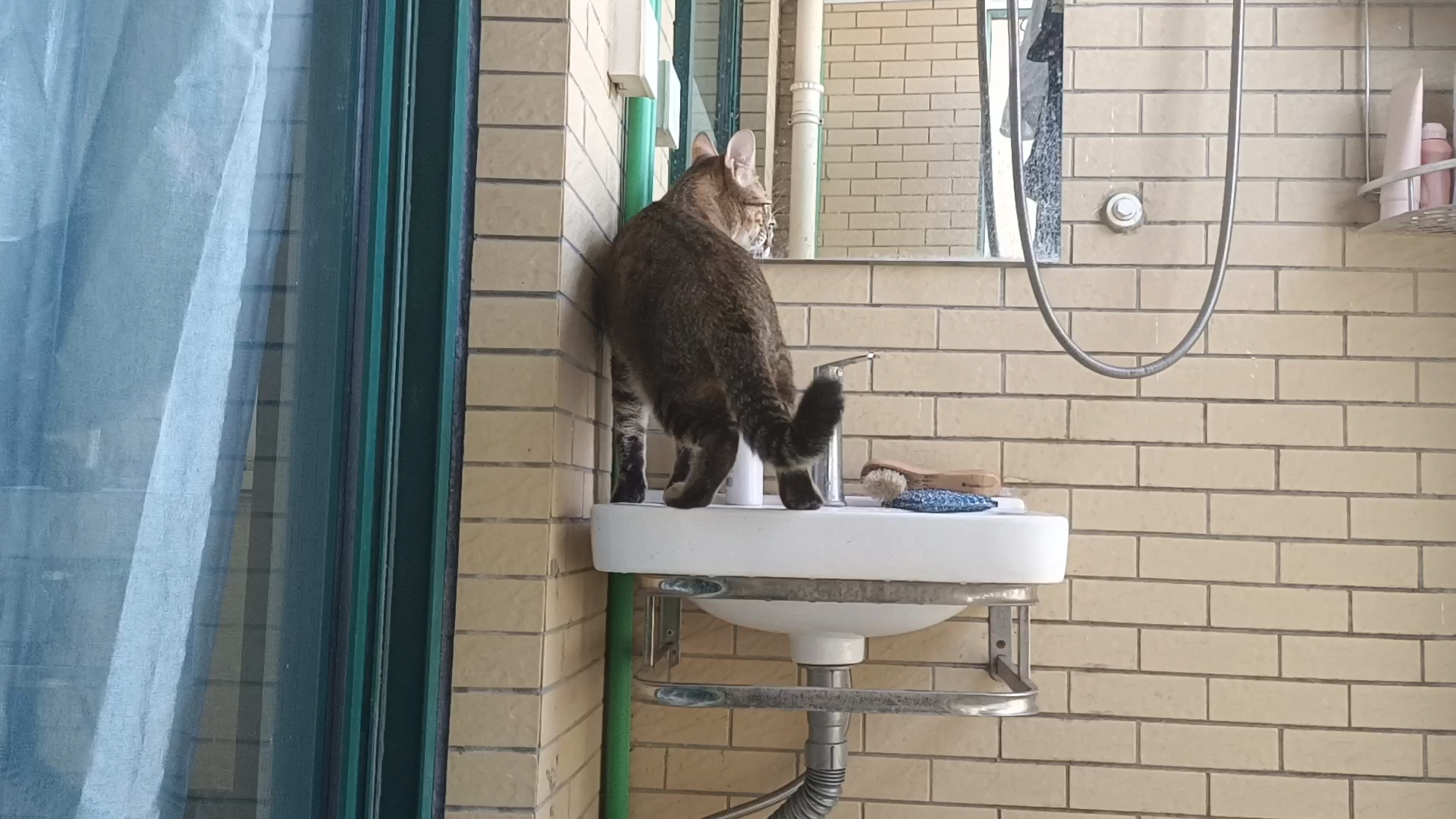 当你的猫生气的时候