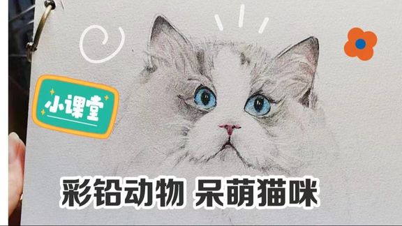 今天送大家一副彩铅画,简单又清新,你学会了嘛?