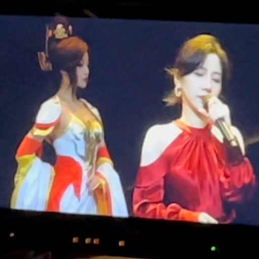 肥皂菌丨珉珉的猫咪丨 