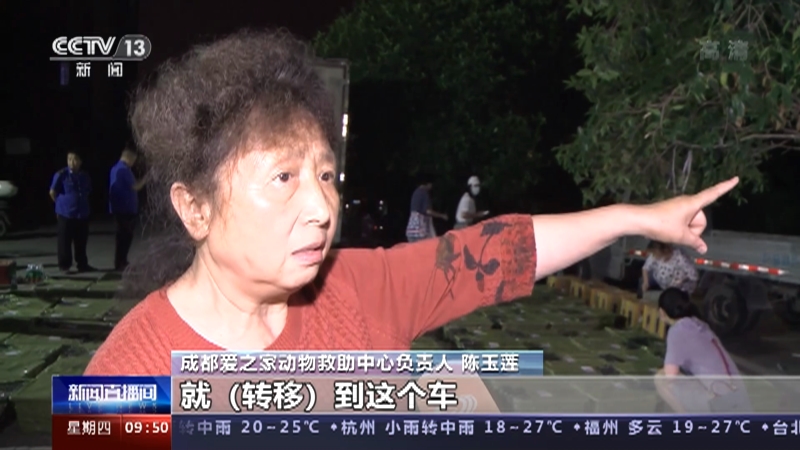 [新闻直播间]四川成都 一快递点寄递“宠物盲盒” 猫狗奄奄一息