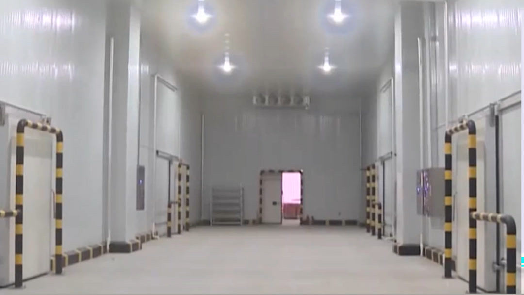 男子建冷链仓储中心,保存蔬菜水果打时间差,价格一下翻十倍