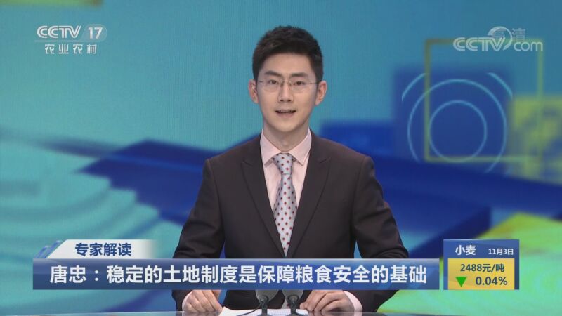 [中国三农报道]专家解读 唐忠:稳定的土地制度是保障粮食安全的基础