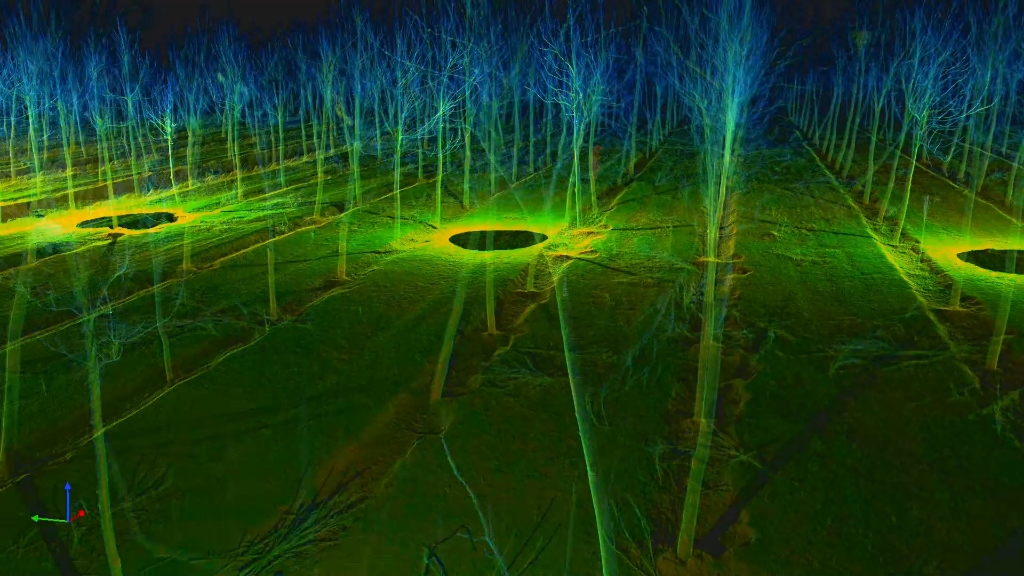 三维激光扫描应用于林业调查