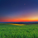 草原上的夕阳啊 