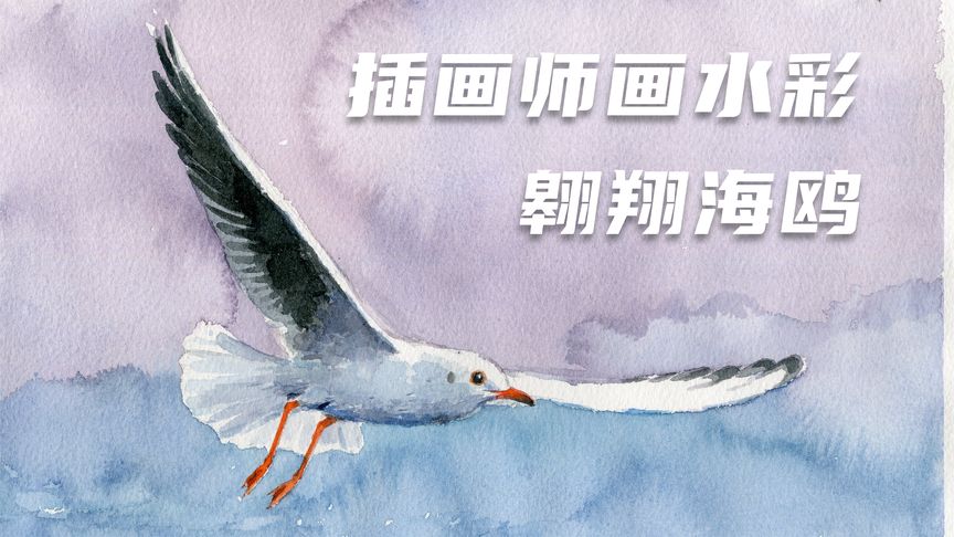 【水彩】插画师如何画水彩,花花草草画多了来画只翱翔的鸟吧