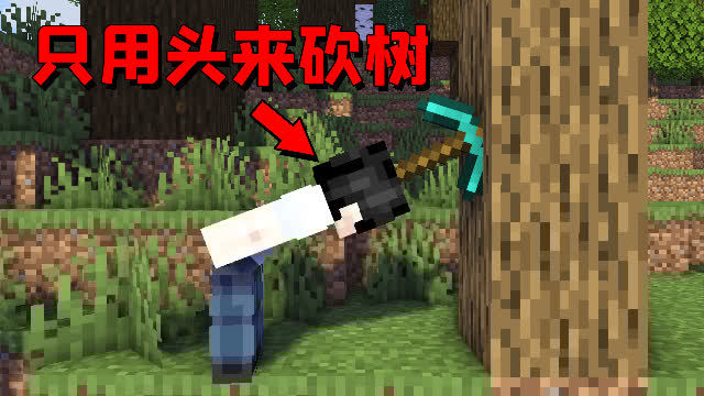 我的世界mod:把工具插在头上使用