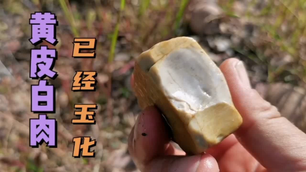 坝下山区河中有这种好石头,瓷白玉石很少遇到
