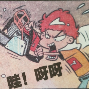 大透椰 