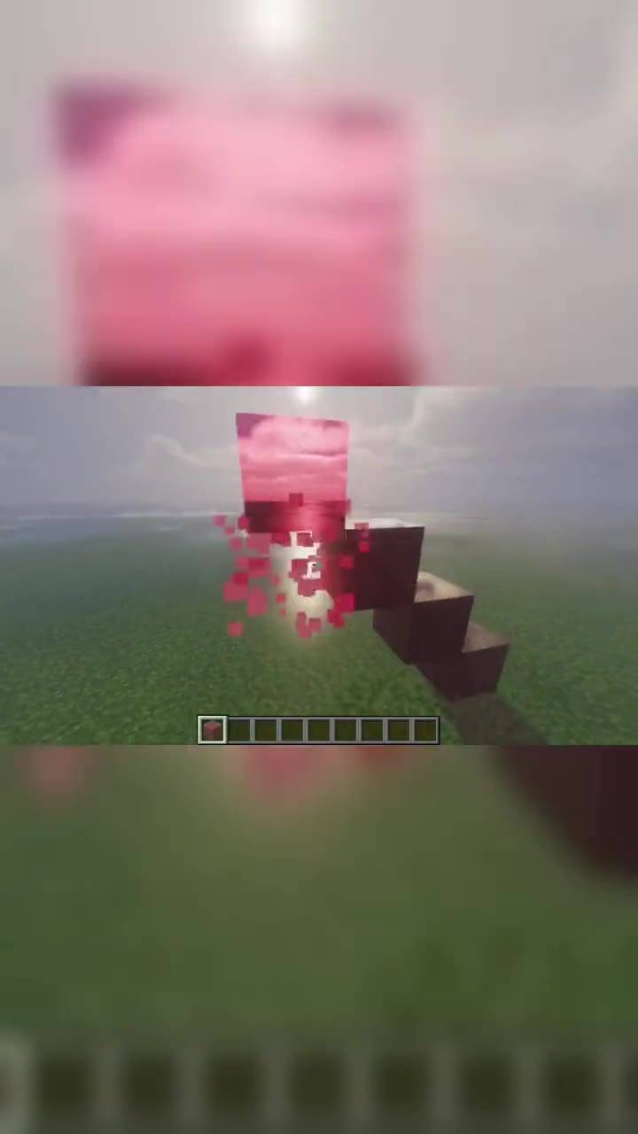 我的世界:测试一下你的好友!