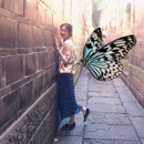 画扇99 