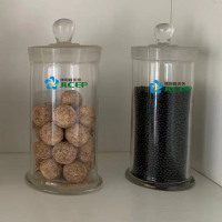 微生物菌剂环保治理 