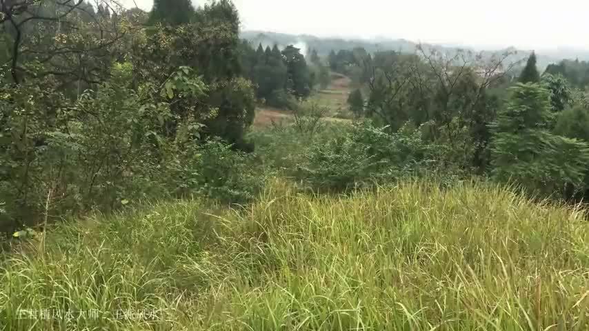 入坟断,风水大师王君植重庆看坟墓风水实拍,这里是真龙真穴吗?