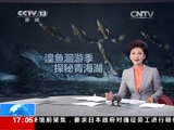 [新闻直播间]湟鱼洄游季 探秘青海湖