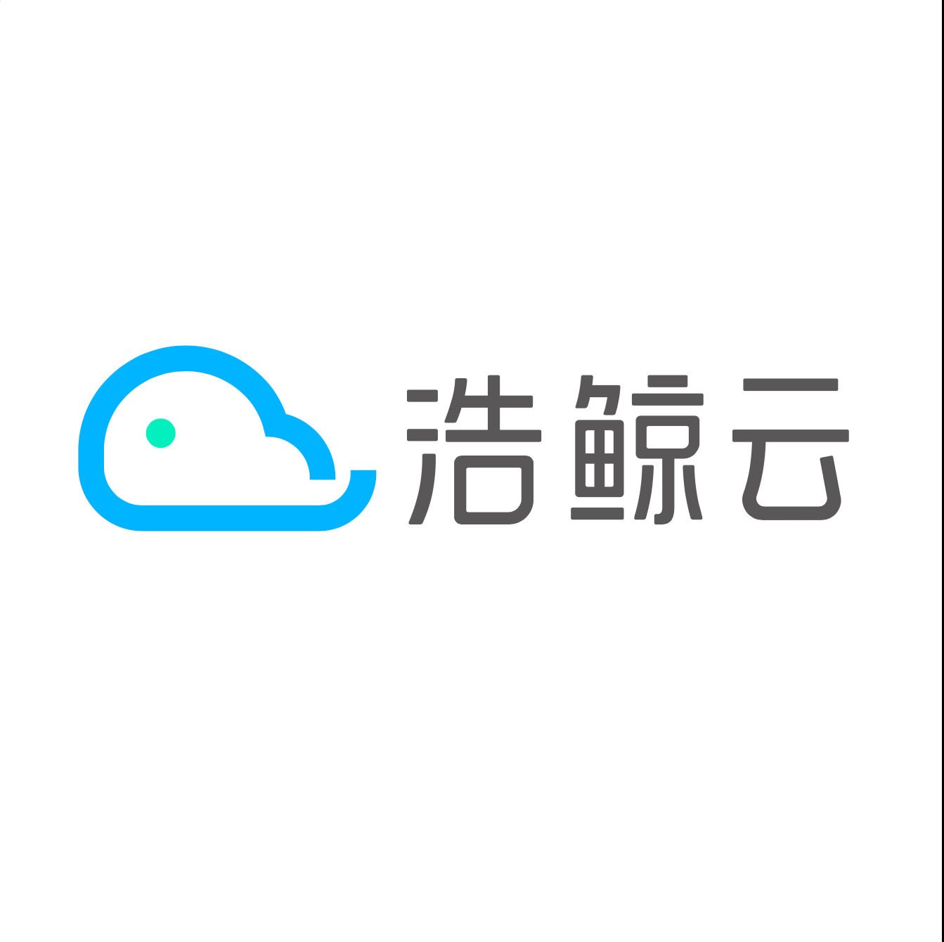 浩鲸云 