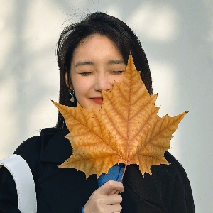 张张yii 
