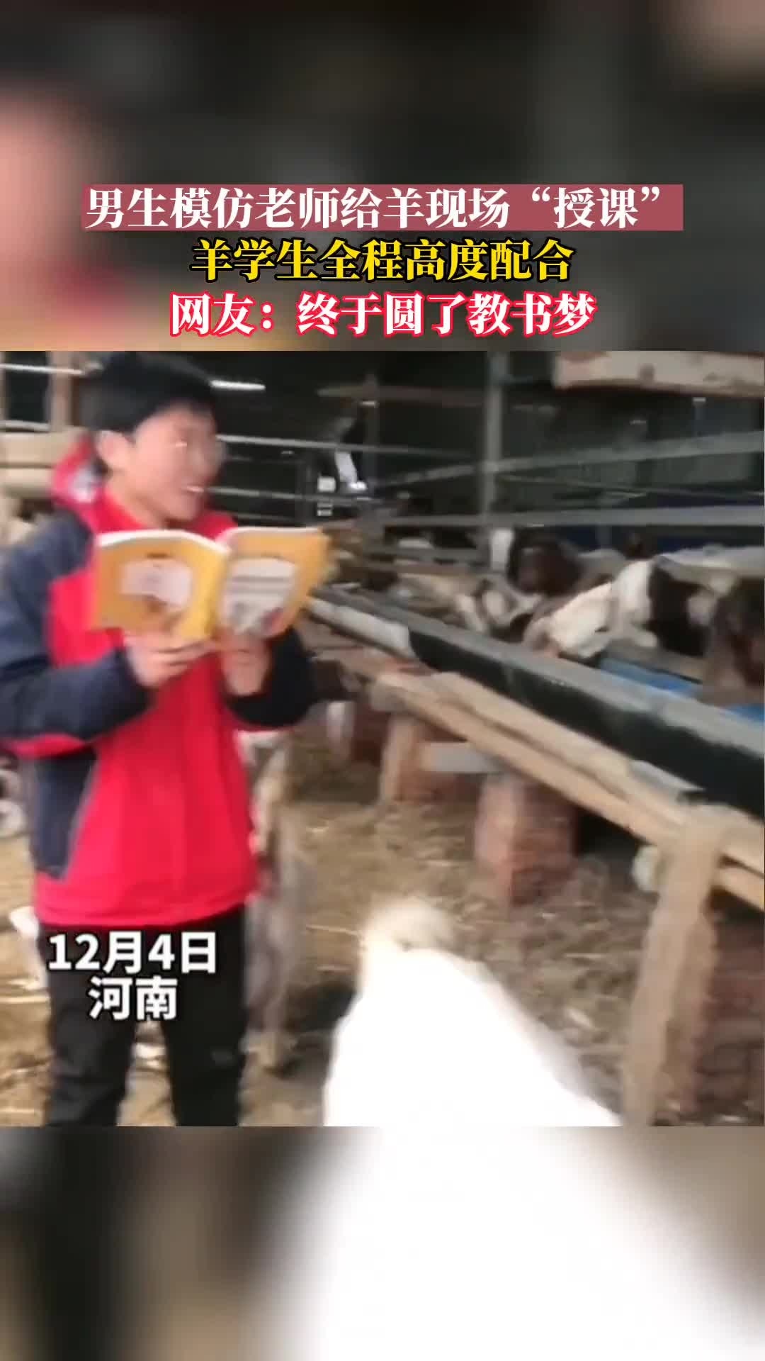 男生模仿老师给羊"授课",羊学生全程高度配合