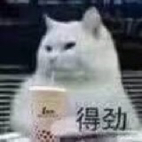 想起一个很特别的名字 