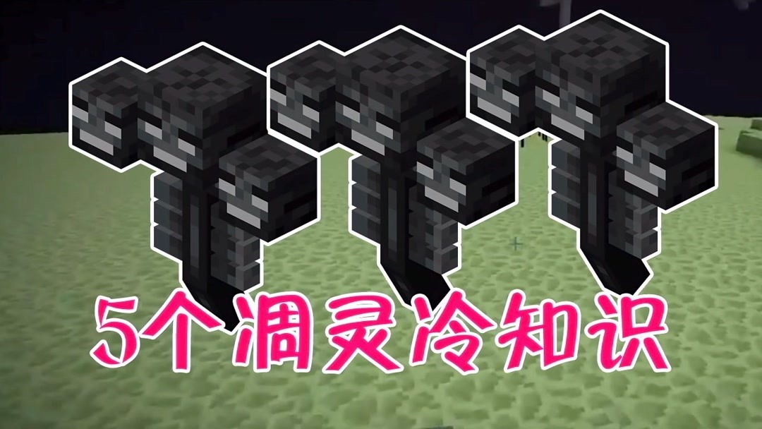我的世界:5个凋灵冷知识!凋灵的弱点在哪?它居然还有朋友?