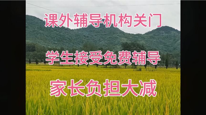 双减政策发布后好多培训机构关门:学生接受免费课后服务真幸福