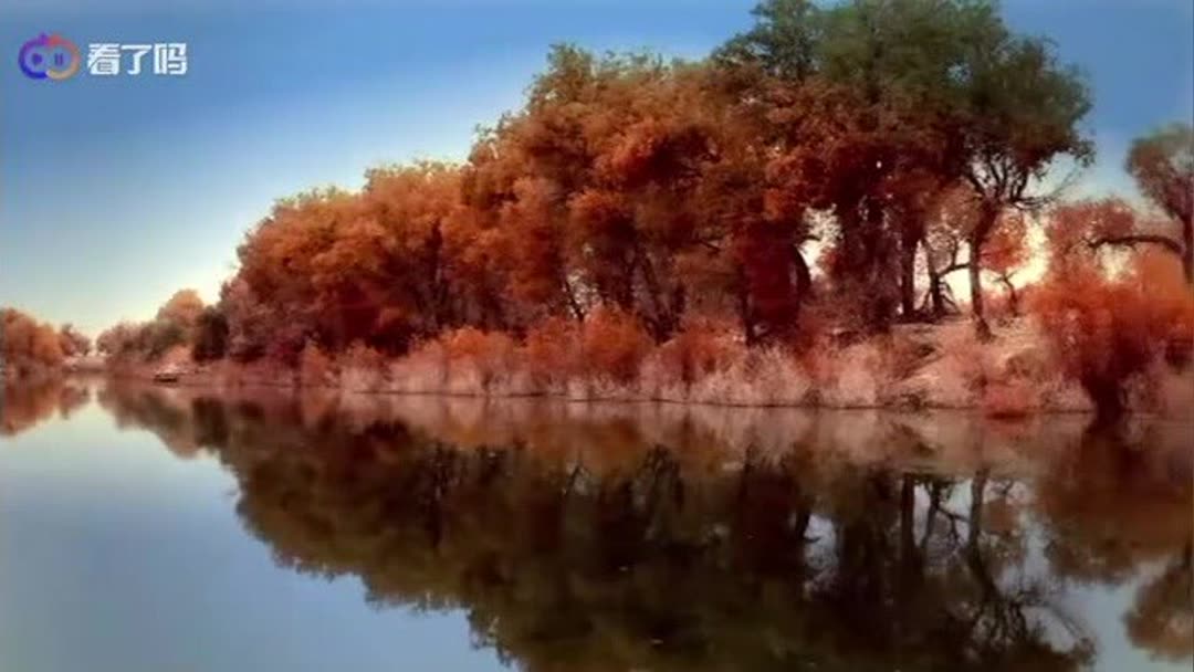 新疆一分钟,一起领略风光旖旎的大美新疆!