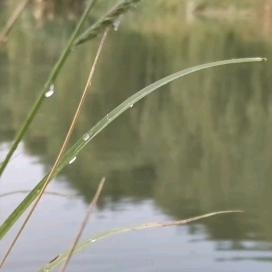 大雨静听生活5h 