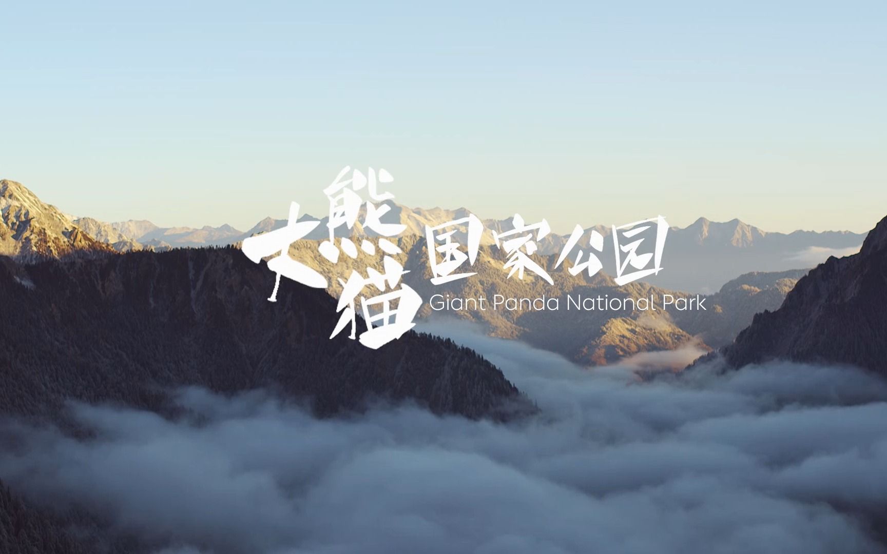 蔚来携手大熊猫国家公园,正式开启Clean Parks与WWF共建生态第二站...