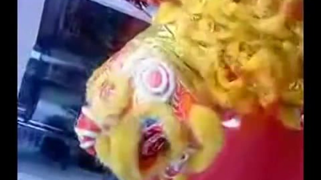 舞狮子表演视频 上海舞狮舞龙春节表演视频