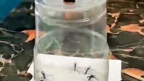 实拍高手行车,出事故都不碰一株农作物