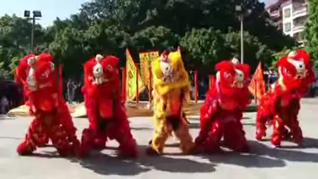 舞狮子 新年舞狮表演