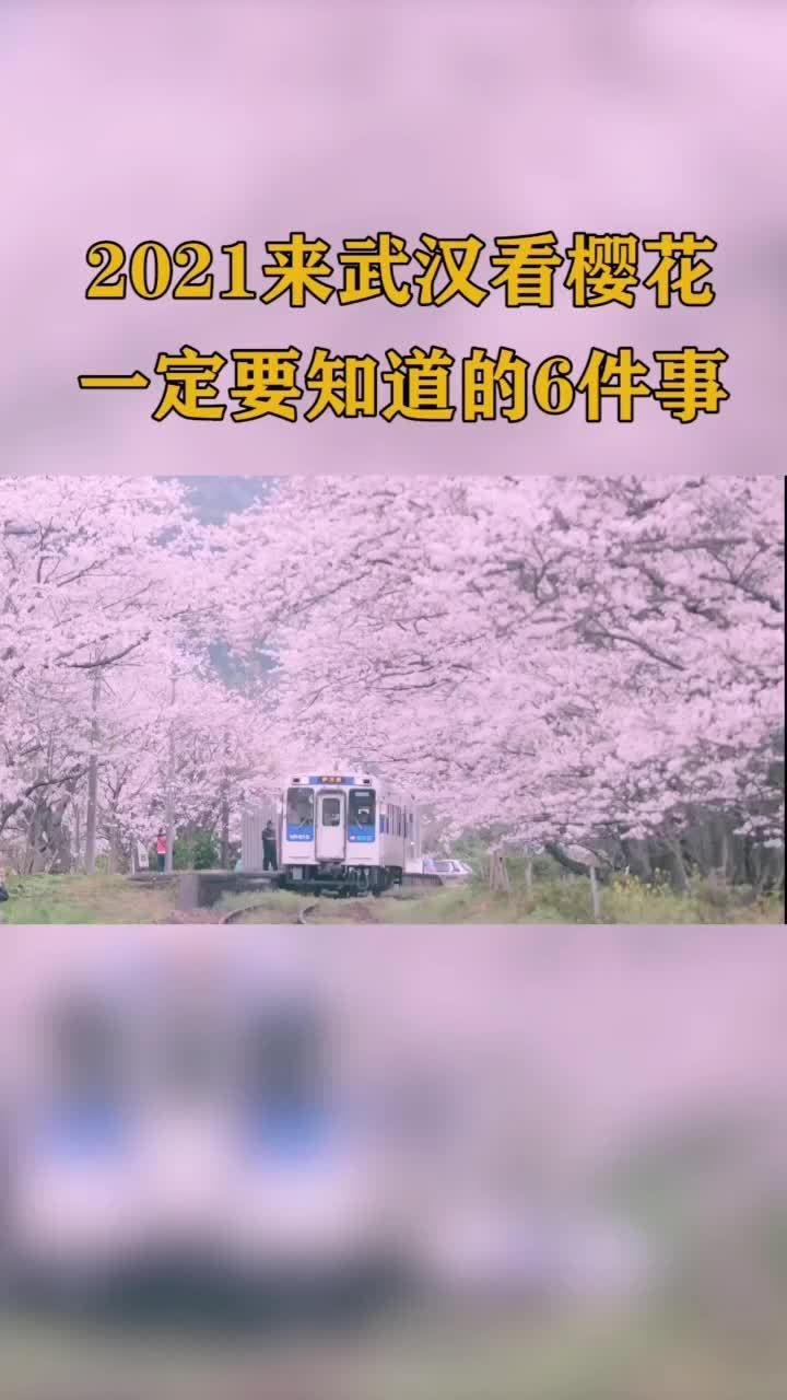 2021来武汉赏樱一定要知道的6件事做好准备冲鸭武汉樱花樱花节